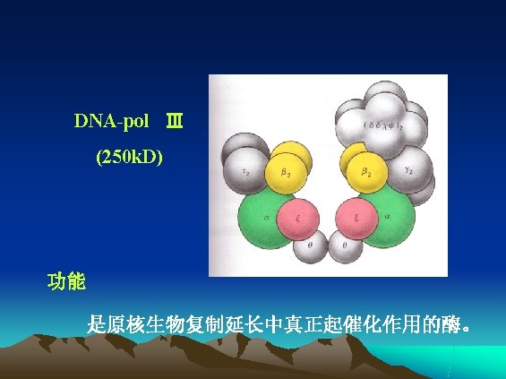 Transmission of Genetic Information DNA DNA BiosynthesisReplication DNA