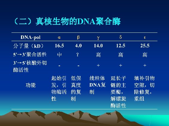 Transmission of Genetic Information DNA DNA BiosynthesisReplication DNA
