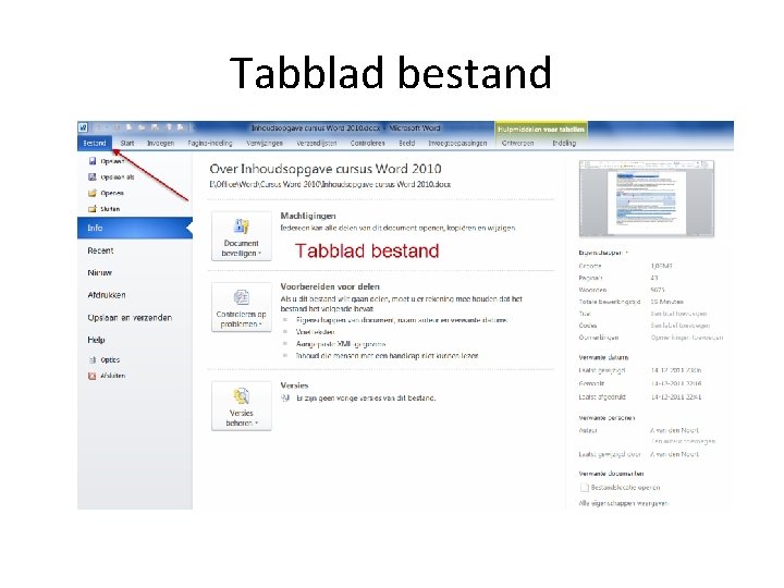 Office 2010 Word 2010 Algemeen Het lint tabbladen