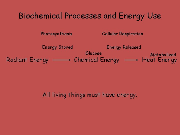 Cellular Energy Photosynthesis and Cellular Respiration Biochemical ...