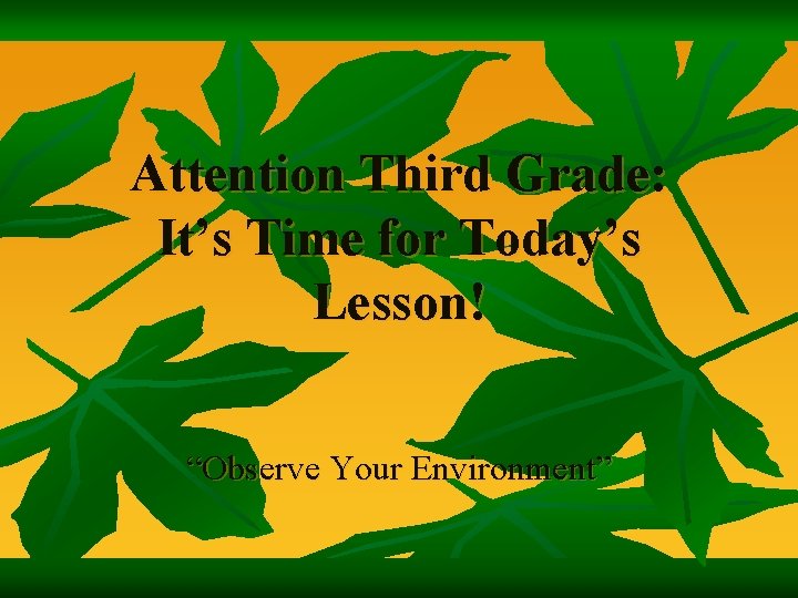 Learning About Our Environment Jessica Hohl Kelly Scheidemantel