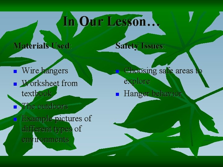 Learning About Our Environment Jessica Hohl Kelly Scheidemantel