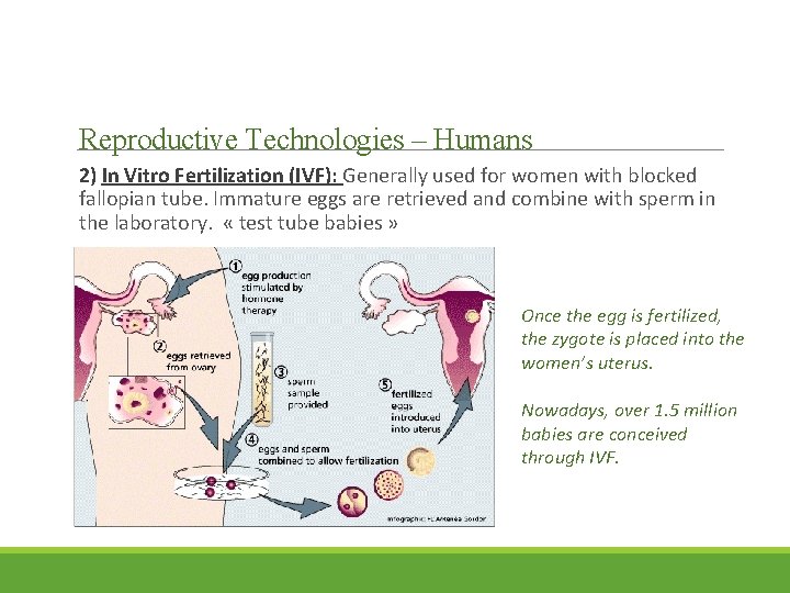 Section 4 3 Reproductive Technologies SBI 3 U