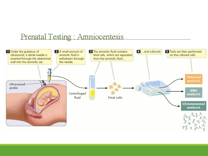 Section 4 3 Reproductive Technologies SBI 3 U