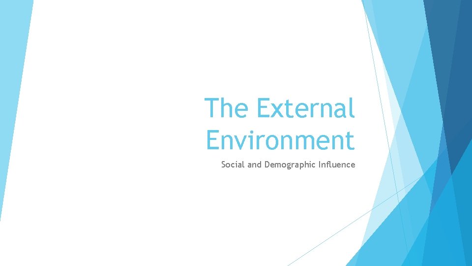 The External Environment Social and Demographic Influence Social