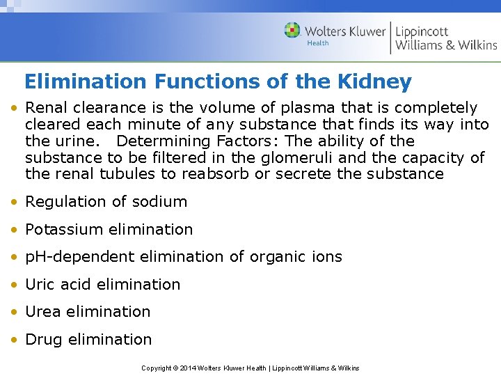 Chapter 38 Structure and Function of the Kidney