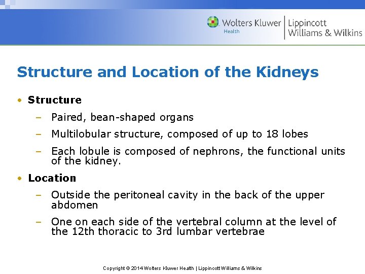 Chapter 38 Structure and Function of the Kidney