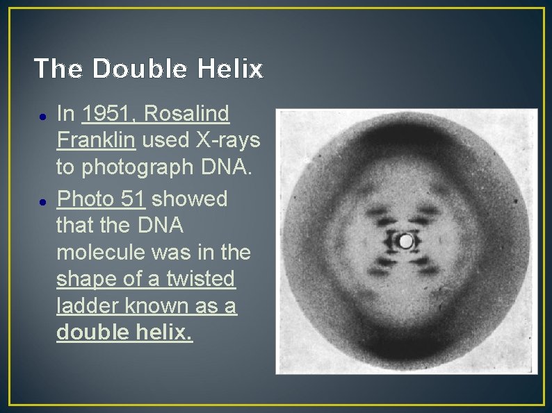 Chapter 12 Notes DNA RNA and Protein Synthesis