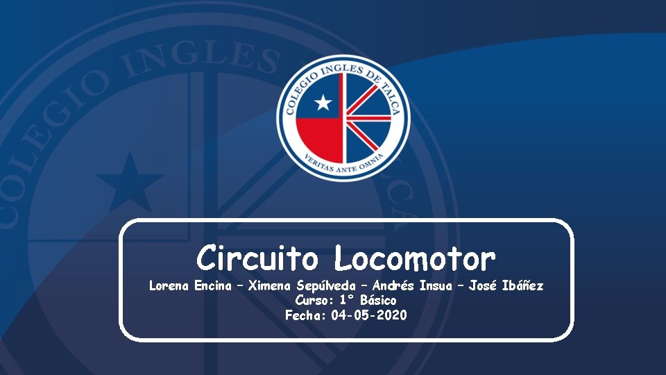 Circuito Locomotor Lorena Encina Ximena Seplveda Andrs Insua