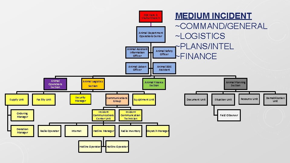 BUTTE COUNTY ANIMAL DISASTER ORGANIZATION CHART EOC Director