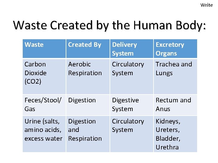 Listen Unit 10 Urinary and Reproductive Systems Listen