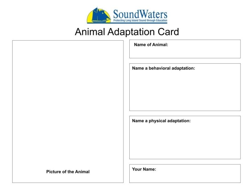 Sound Waters Distance Learning Animal Adaptations Organisms have