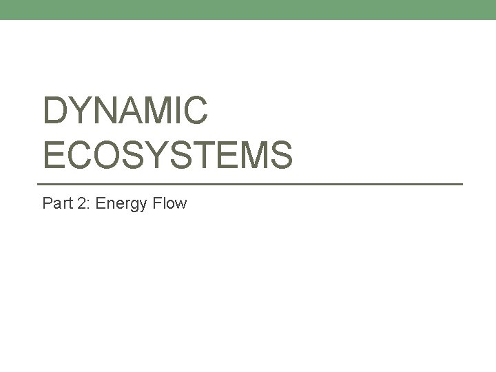 DYNAMIC ECOSYSTEMS Part 2 Energy Flow Food Chains