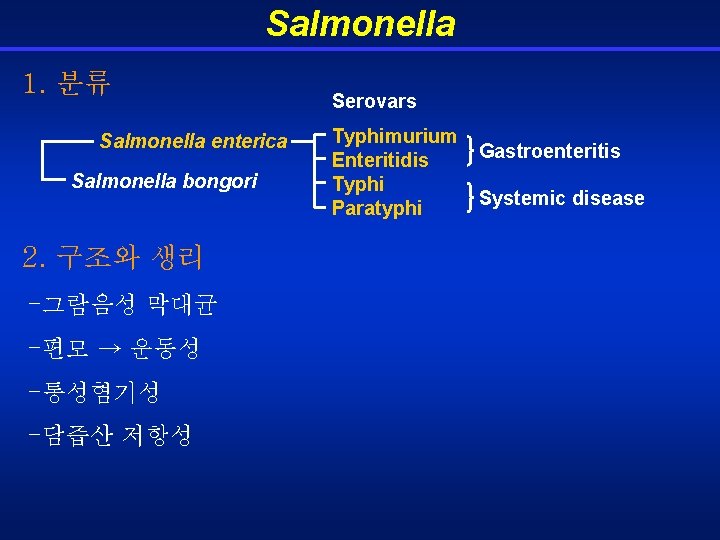Enterobacteriaceae Dongwoo Shin Department of Molecular Cell Biology