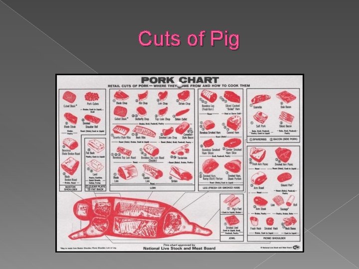 Livestock 101 By Kaila Wussow and Deanna Zernicke