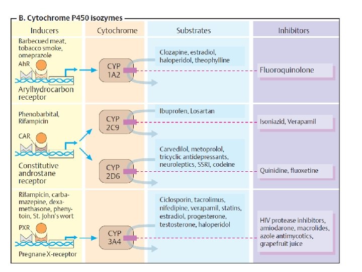 Elenco substrati delle varie isoforme dei citocromi http