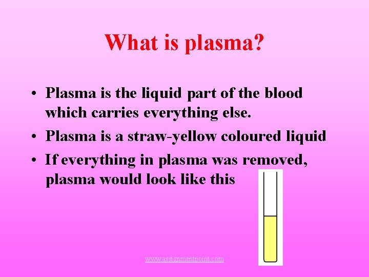 Components of Blood and their jobs www assignmentpoint