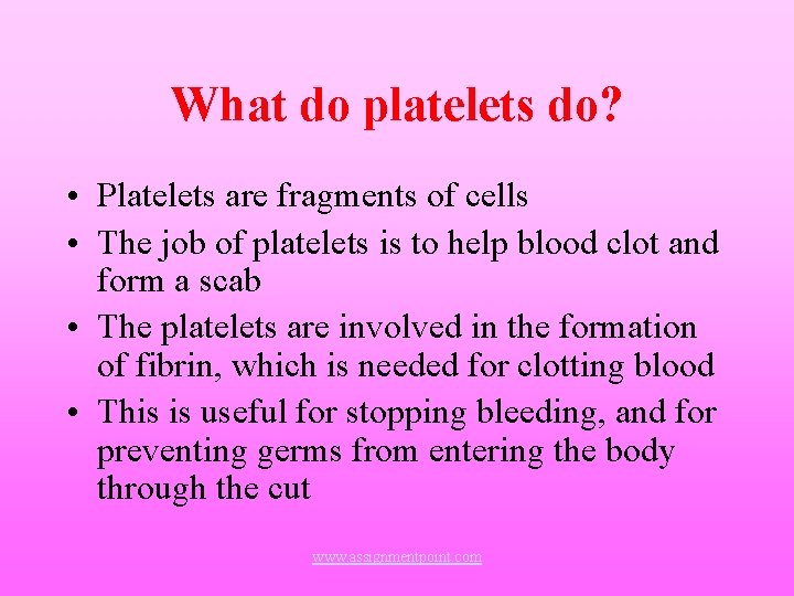 Components of Blood and their jobs www assignmentpoint