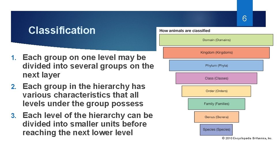 1 Chapter 9 Key Terms Taxonomy Domain Binomial