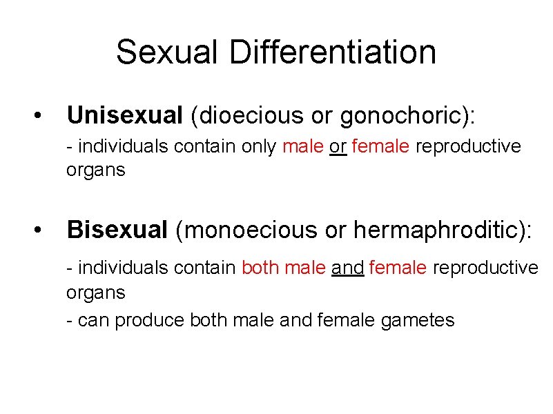 Active Lecture Power Point Presentation for Essentials of