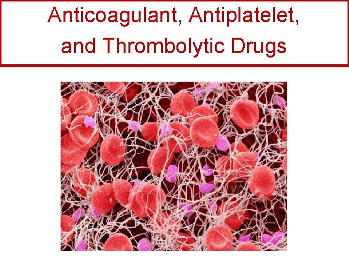Anticoagulant Antiplatelet and Thrombolytic Drugs Anticoagulants ...
