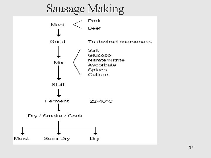 MEAT FERMENTATION CURING Dr Ali Cokun DALGI 1