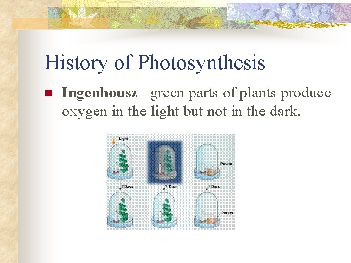 Chapter 8 Photosynthesis Chapter 9 Cellular Respiration Where