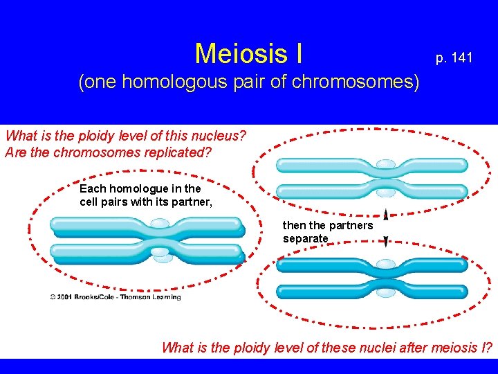 Meiosis and Sexual Reproduction Asexual Reproduction Single parent