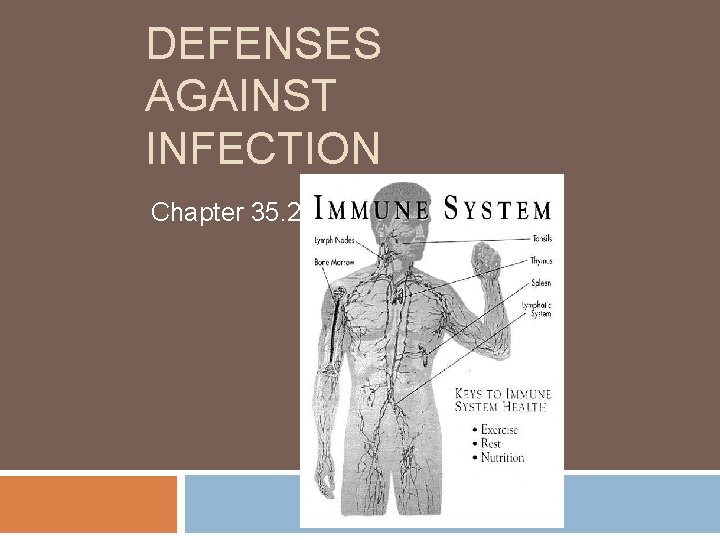 DEFENSES AGAINST INFECTION Chapter 35 2 Immune System