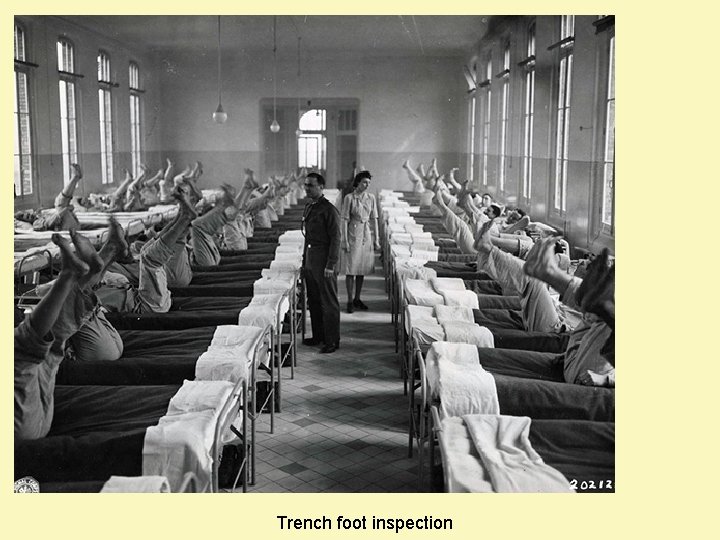 The effects of the trenches Lesson starter 1