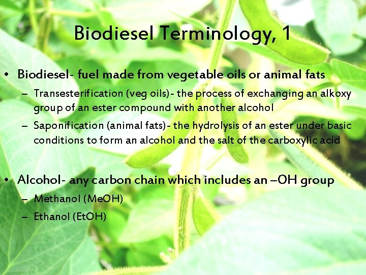 Biodiesel in the Classroom Barry Latham M A