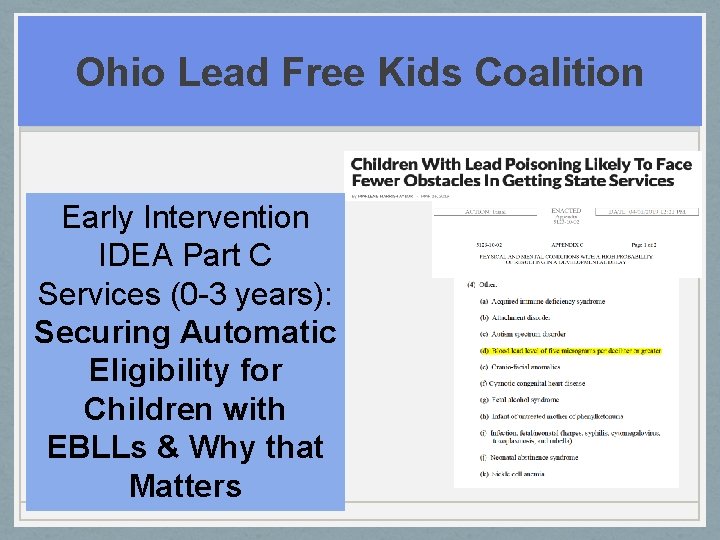 Ohio Policy and Budget Initiatives in Lead Poisoning