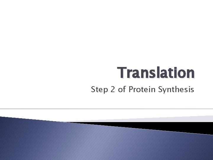 Translation Step 2 of Protein Synthesis Molecular Components