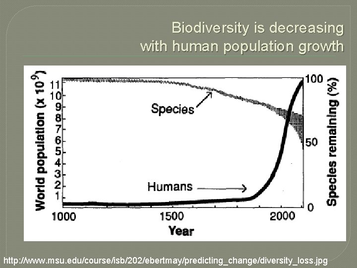 Biodiversity and Ecosystem Functioning COSMOS Global Change Biology