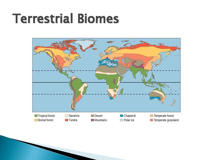 The Living World What is the biosphere The