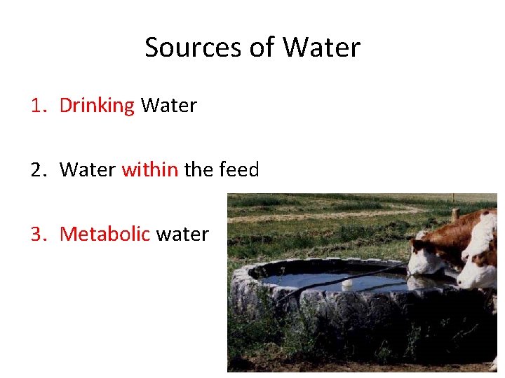 Animal Nutrition 5 Basic Classes of Nutrients Water