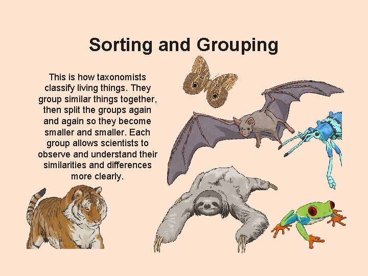 Learning intention classify animal based on their characteristics