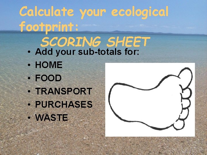 Is one planet enough Calculate your ecological footprint