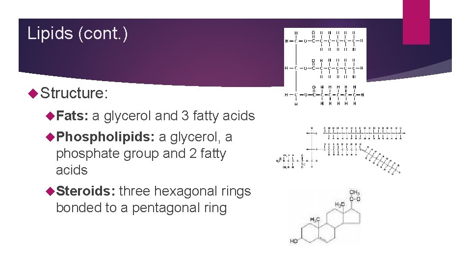 BIOMOLECULES OVERVIEW Four Groups of Organic Compounds That