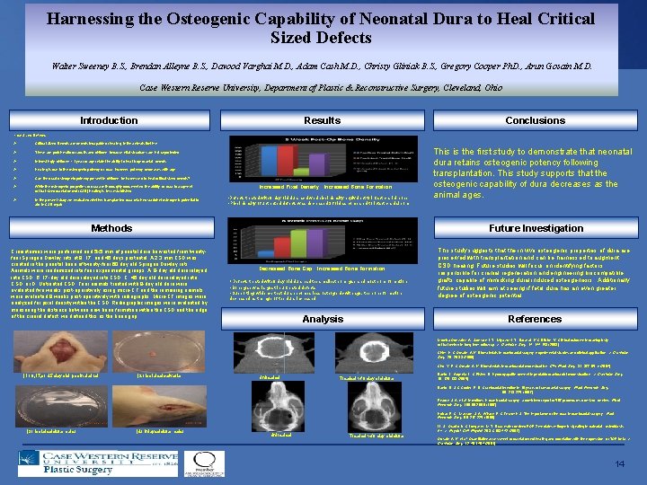 Harnessing the Osteogenic Capability of Neonatal Dura to