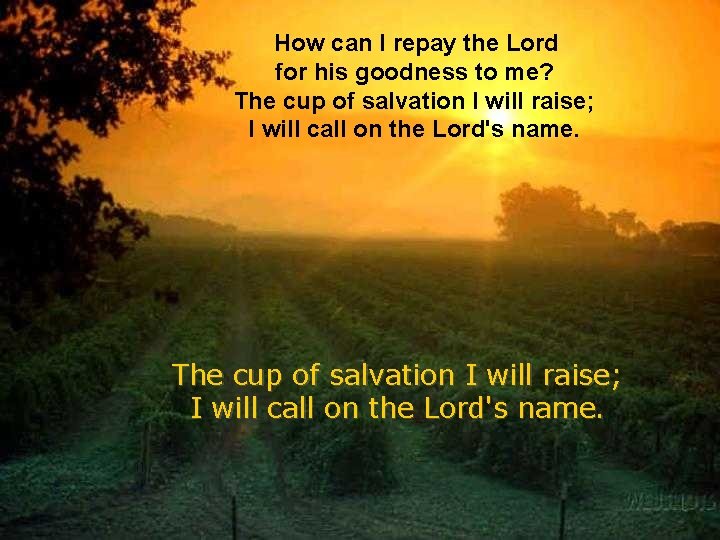 THE BODY AND BLOOD OF CHRIST Solemnity B