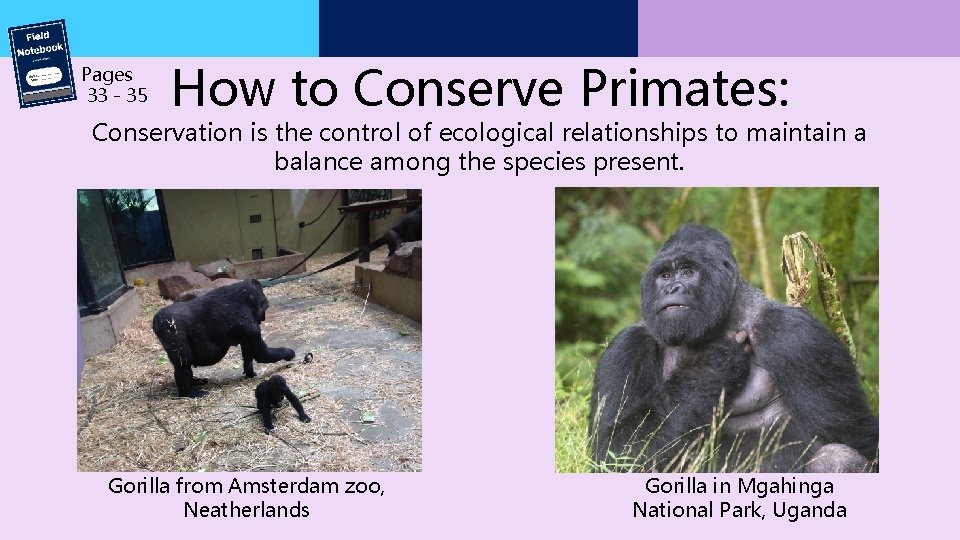 Primate Conservation Learning Outcomes Why should we conserve