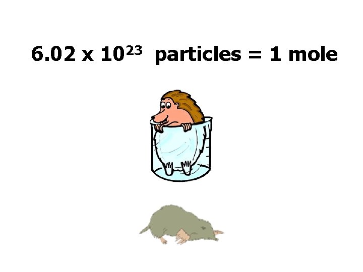 Chem Solutions They all contain the same number