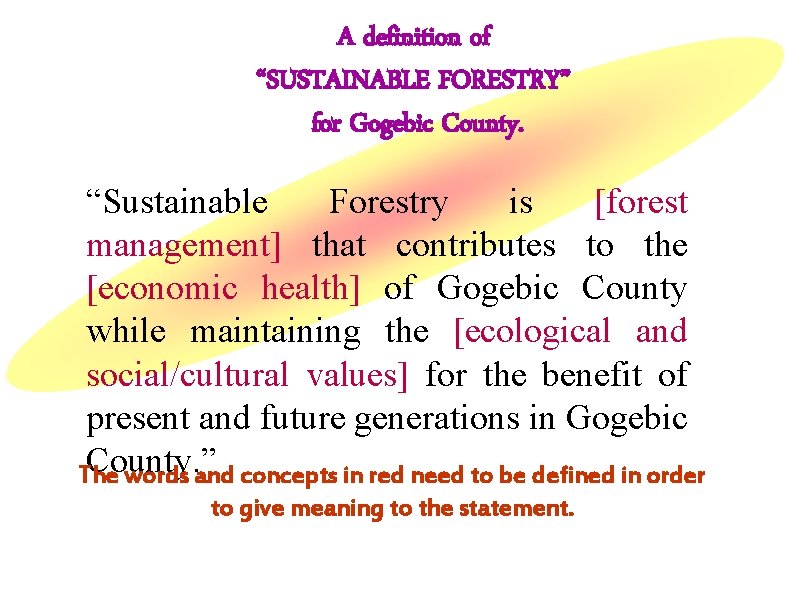 Material Developed and Used by Gogebic County FACT