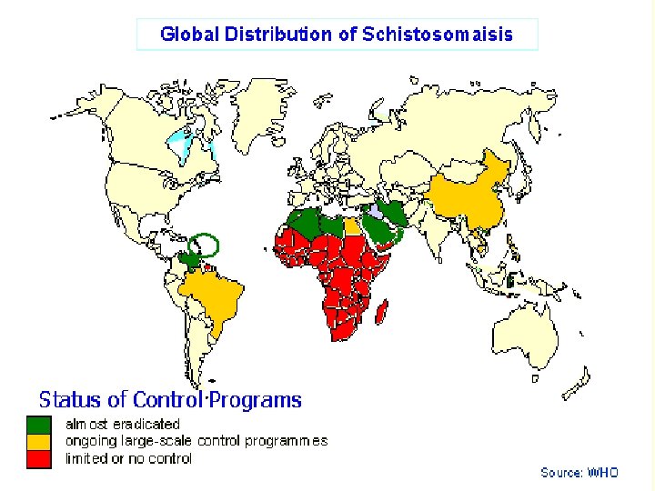SCHISTOSOMIASIS Schistosomiasis The ecology of schistosomiasis includes ...