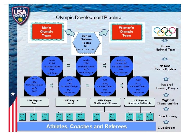 2010 ODP Manuel Table of Contents Olympic Table