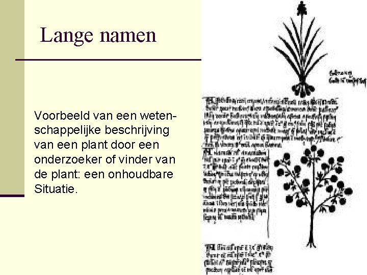 nomenclatuur De naamgeving van planten en dieren Naamgeving