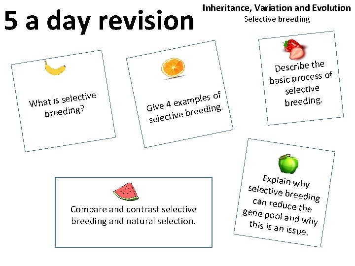 5 a day revision NA What is D