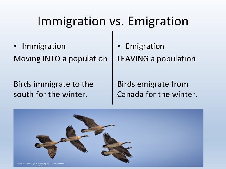 Interactions Among Living Things Copy what is highlighted