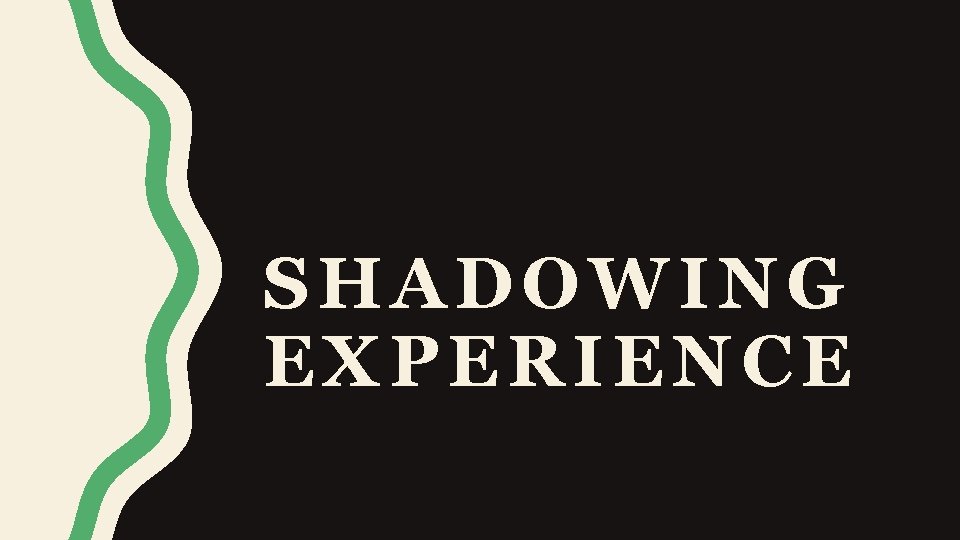 ENGINEERING MARIAH SOEBBINGVOLK OVERVIEW Area of Expertise Introduction